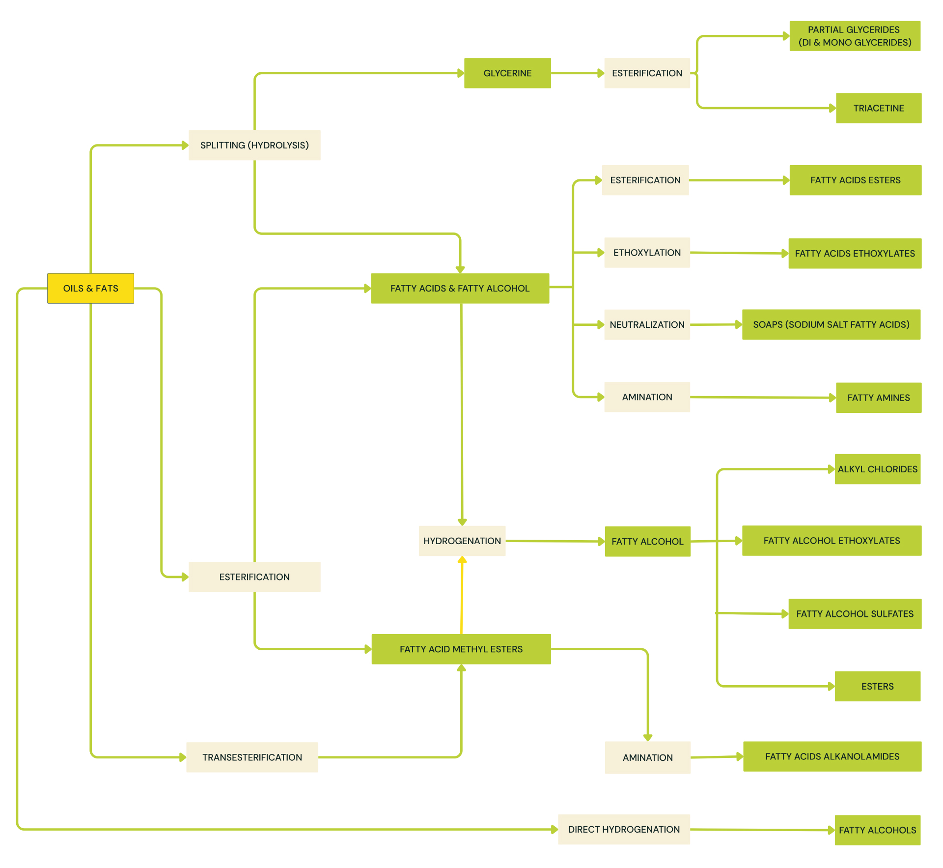 Oleochemicals - Kumar Metal Industries