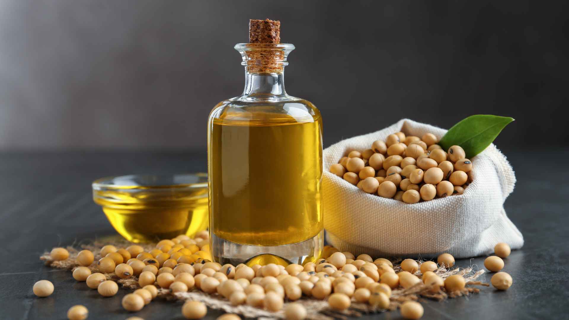 The complete guide to the soybean oil manufacturing process - Kumar ...